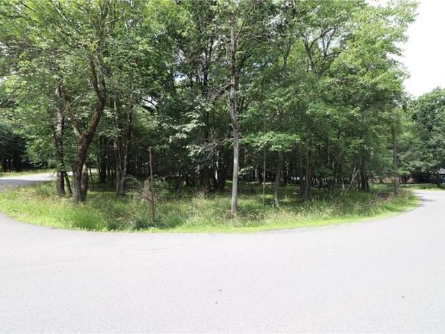 Long Brooke and Woodland Rd, Penn Forest Township, PA 18210