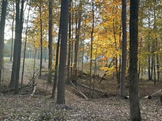 Long Cove Dr, Lincolnton, Plot For Sale