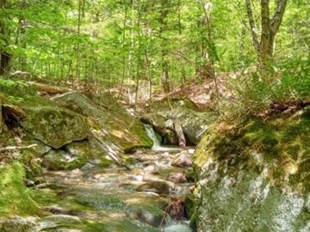 Long Falls Dam Rd, Highland Plt, Plot For Sale