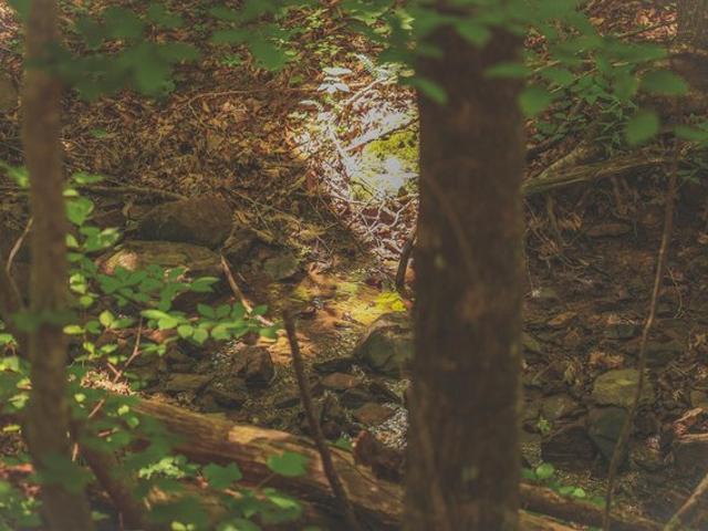 Long Fork Creek Rd, Spencer, TN 38585