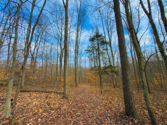 Long Fork Rd, Piketon, OH 45661