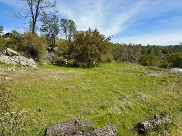Long Hollow Dr, Coarsegold, CA 93614
