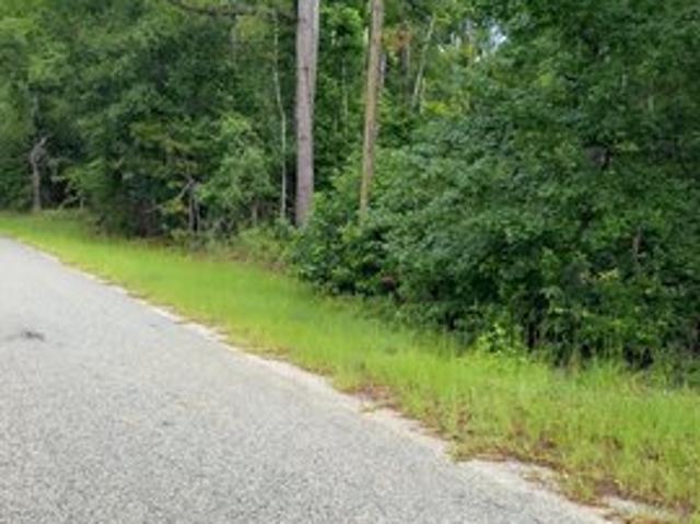 Long Horn Lot 18, Waynesboro, GA 30830