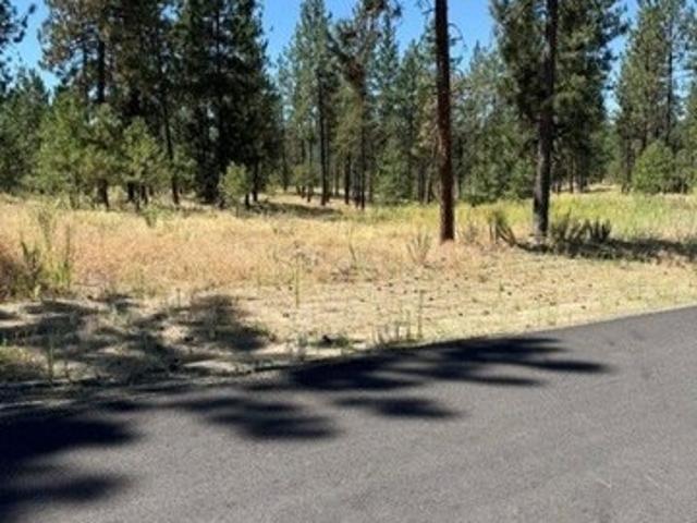 Long Lake Estates Est Lot 11, Nine Mile Falls, WA 99026