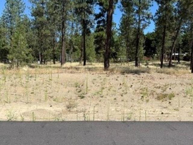 Long Lake Estates Est Lot 13, Nine Mile Falls, WA 99026