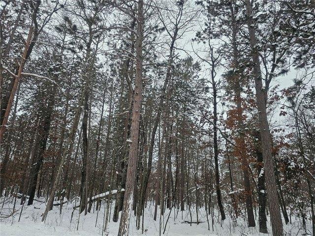 Long Lake Rd Lot 7, Danbury, WI 54830
