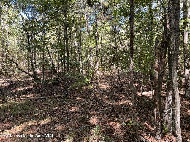 Long Leaf Ter Lot 43, Dadeville, AL 36853