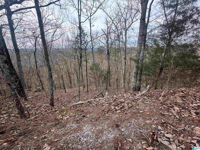 Long Leaf Trl Lot 1, Warrior, AL 35180