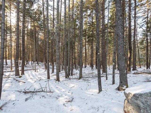 Long Pond Rd, Southwest Harbor, Plot For Sale