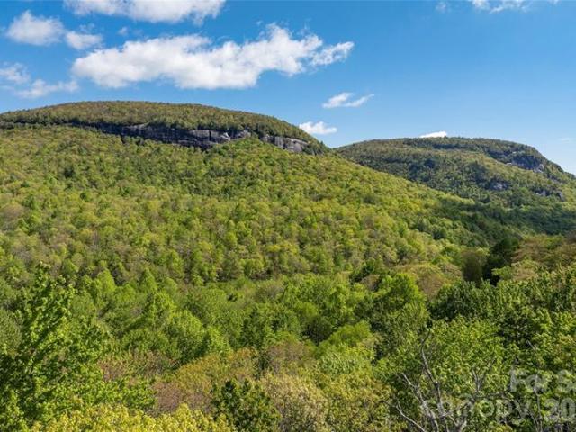 Long Ridge Rd, Lake Toxaway, NC 28747