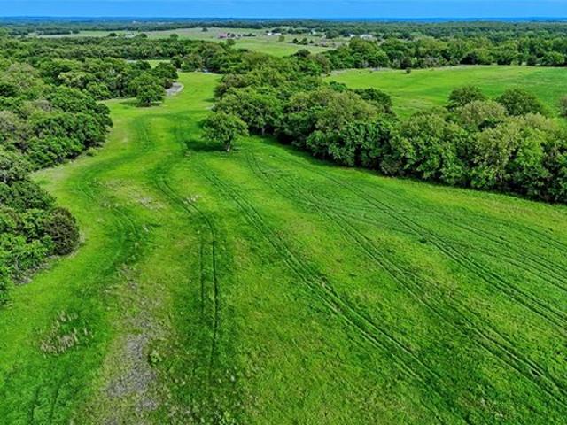 Longbranch, Nocona, TX 76255