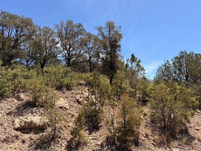 Longfellow Ave, Timberon, NM 88350