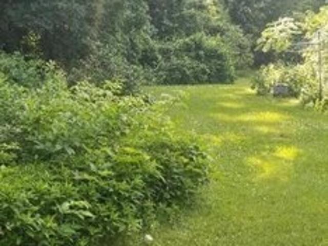 Longfellow Rd, Lexington, Home For Sale