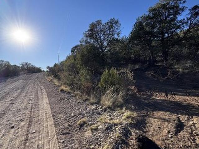Longfellow Rd Lot 80, Timberon, NM 88350