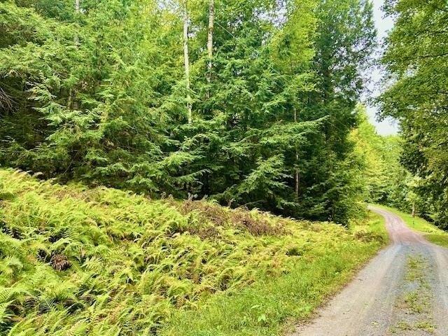 Longfellow Rd Lot,haverhill, Plot For Sale