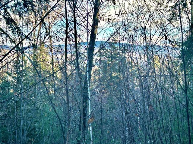 Longfellow Rd, Unit 4, Woodsville, NH 03785 | MLS #5058