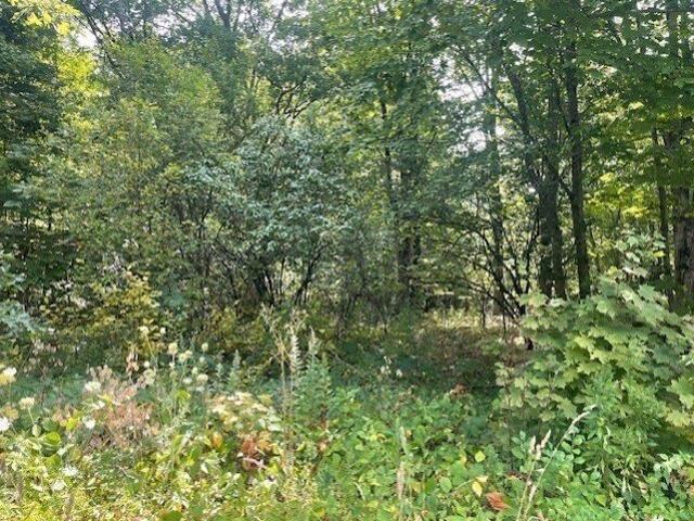 Longley Rd, Shirley, Plot For Sale