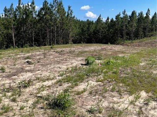 Longleaf Lot 4, Tuscaloosa, AL 35406