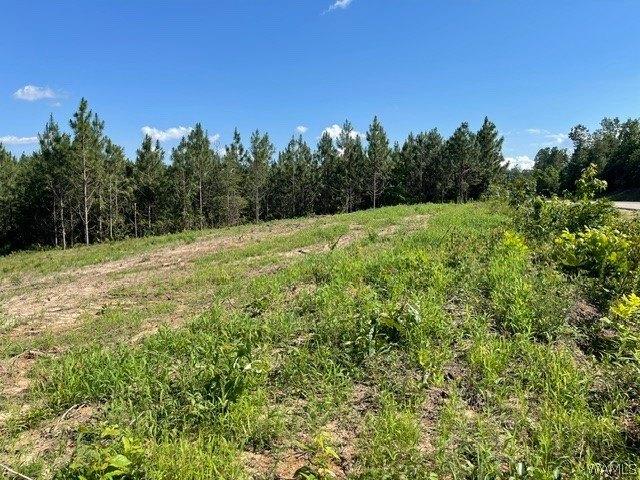 Longleaf Lot 5, Tuscaloosa, AL 35406