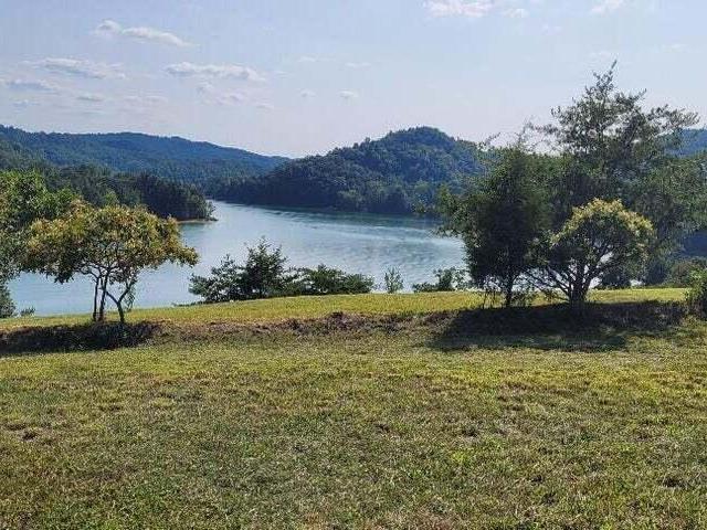 Longshore Drive, Tazewell, TN 37879