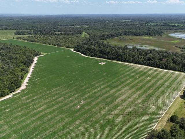 Longpond Rd, Grand Ridge, FL 32442