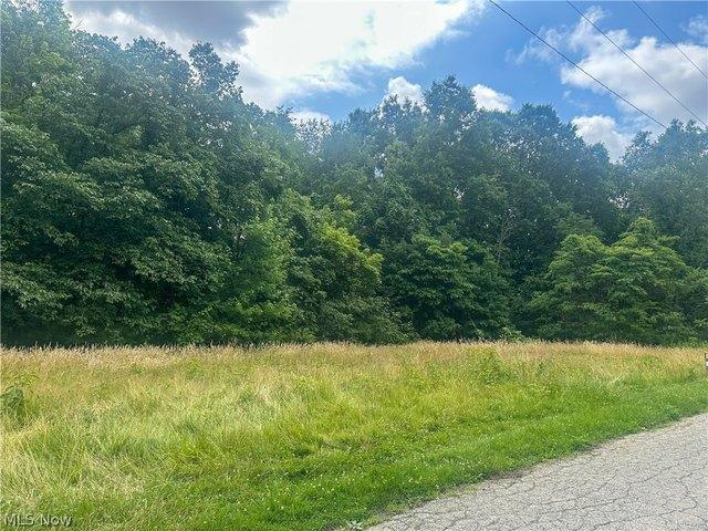 Longwood Ave, Niles, OH 44446