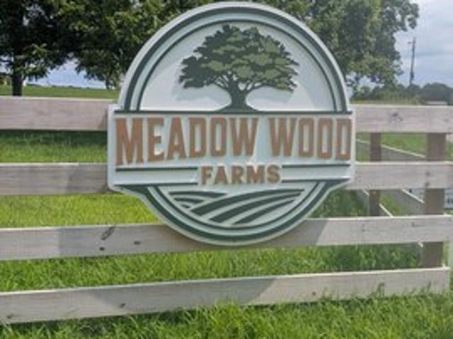 Longwood Ct, McEwen, TN 37101