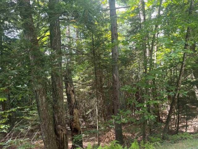 Longwood Dr, Grantham, Plot For Sale