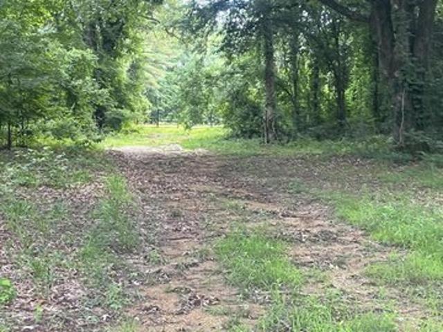 Longtown Rd, Sarah, MS 38665