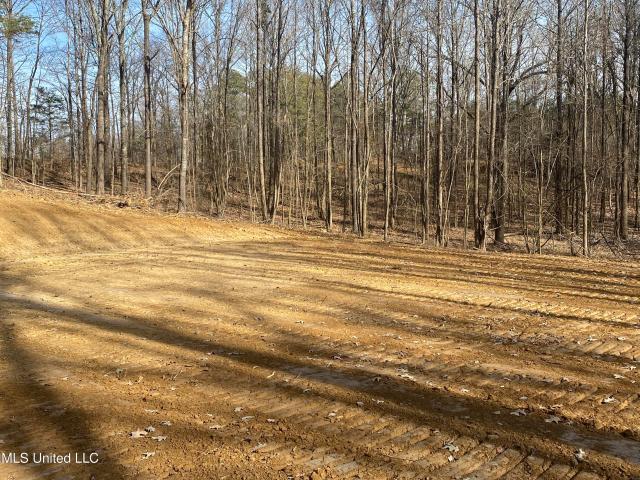 Longtown Road, Sarah, MS 38665