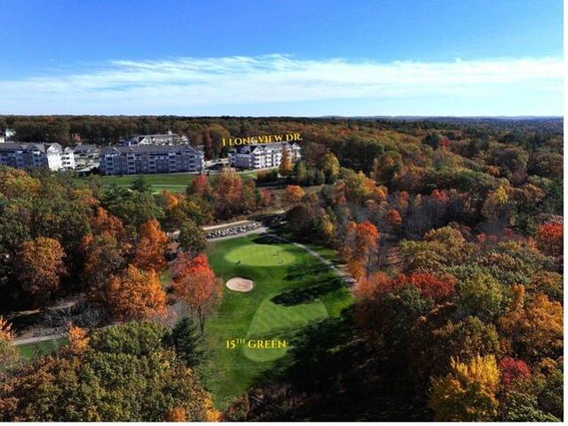 Longview Dr Unit,atkinson, Condo For Sale