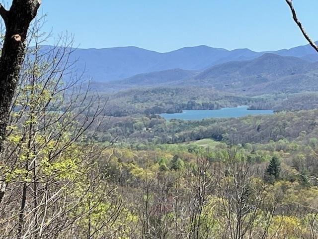 Longview Dr Lot,hayesville, Plot For Sale