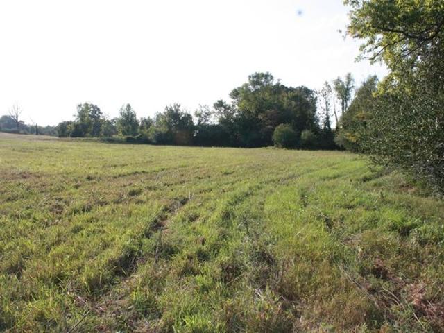 Longview Rd, Nashville, AR 71852