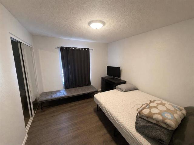 Look for roommate