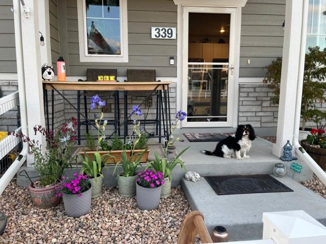 Looking for 1 roomate. Close to Hospitals. Walkabl