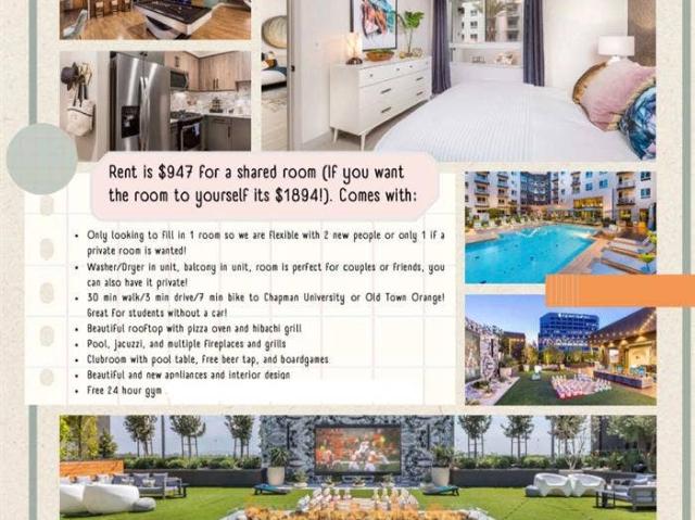 Looking for 1 2 roommates!