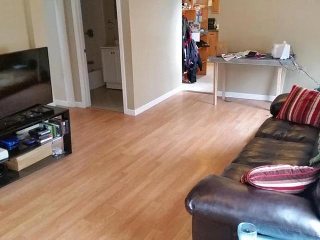 Looking for 2 new roommates!