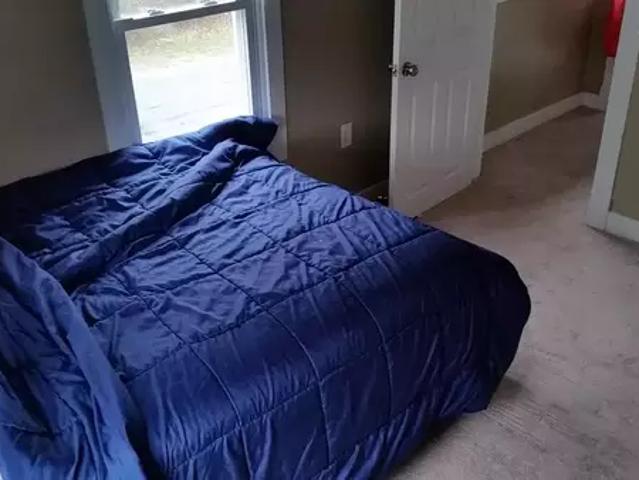 Looking for 2 new roommates!