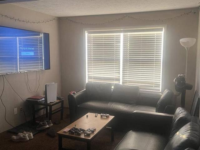 Looking for 2 roommates! ISU