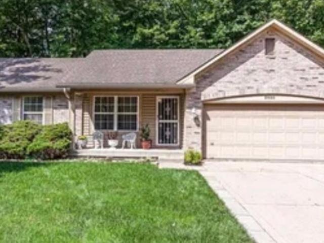 Looking for temporary roommate
