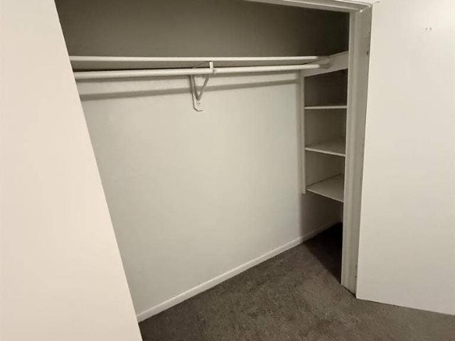 Looking for the right roomie