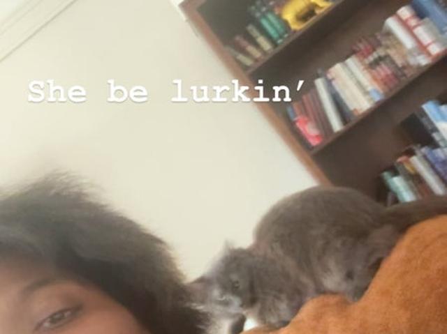 Looking for two Subletters ASAP