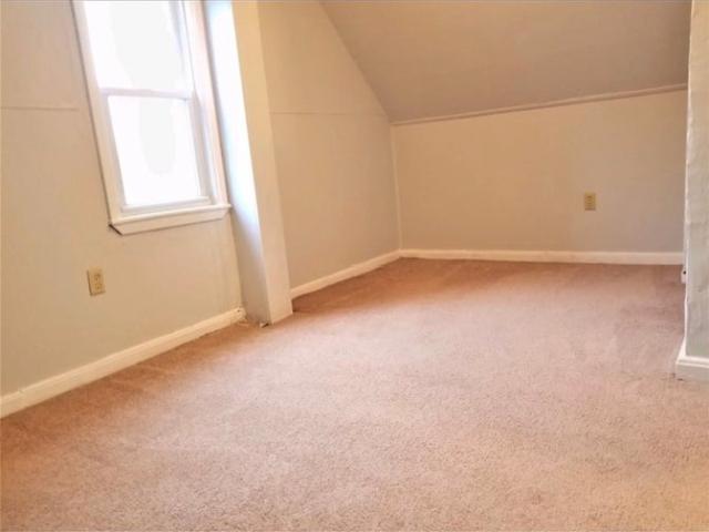 Looking for a new roomie