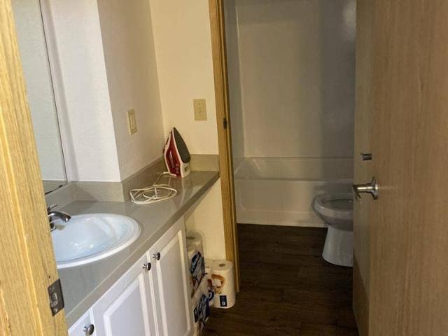 Looking for a new roommate!