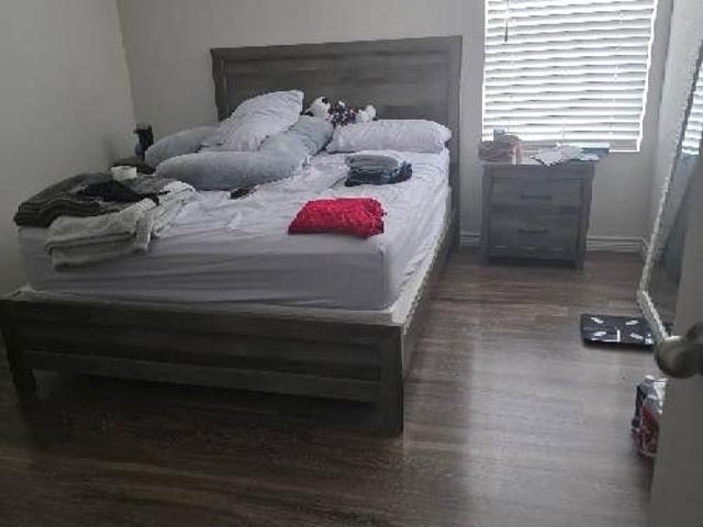 Looking for a clean female roommate