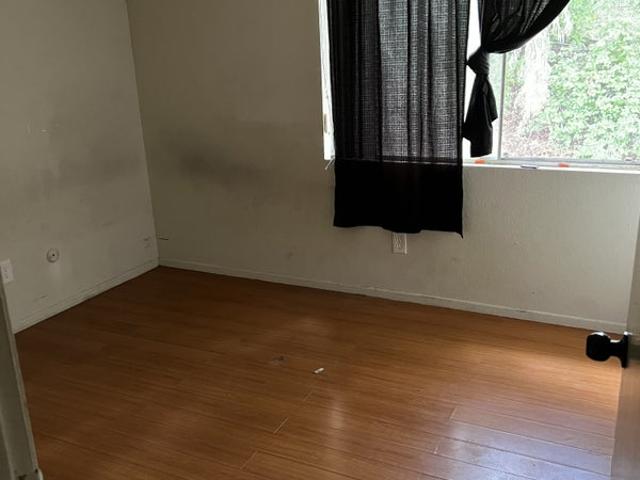Looking for a clean responsible person