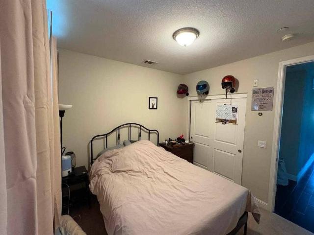 Looking for a Clean Roommate in NY