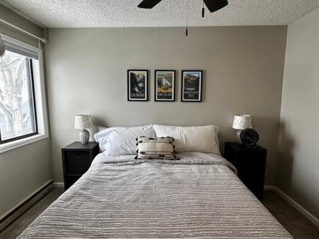 Looking for a cleanrespectfuldrama_free home near