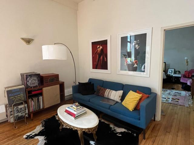 Looking for a cool, chill roommate to move into our 3,000 sq ft loft with us