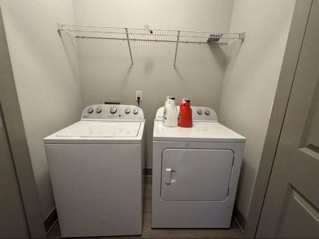 Looking for a female roommate